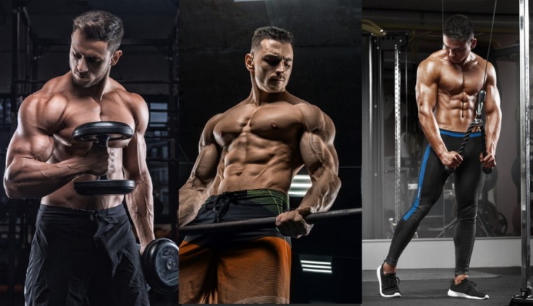The Iconic man's Triceps workouts